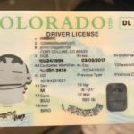 Buy Premium Scannable Fake ID - We Make Fake IDs